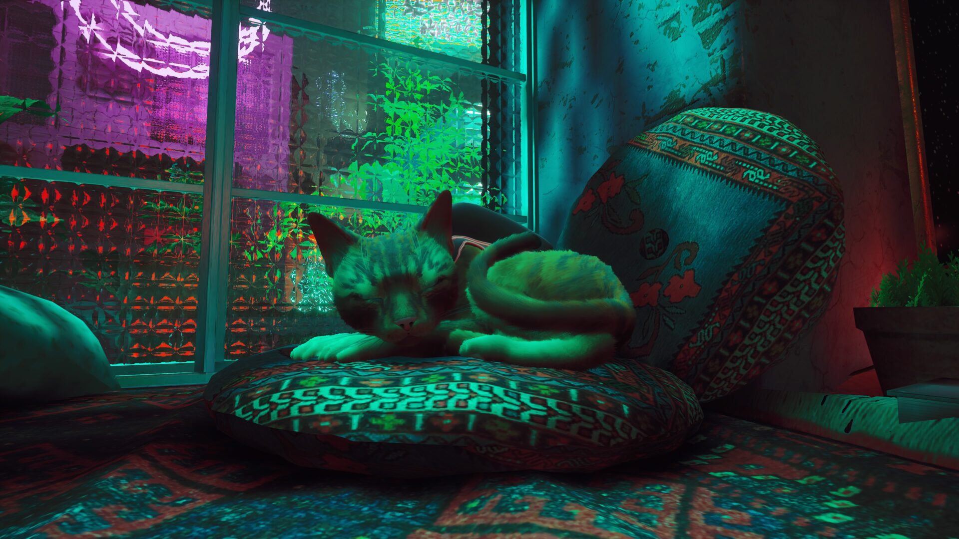 Places You Can Take a Cat Nap in Stray - Ranked - Prima Games