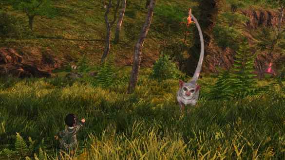 FFXIV Island Sanctuary 6.3: All Rare Animals and How to Find Them ...