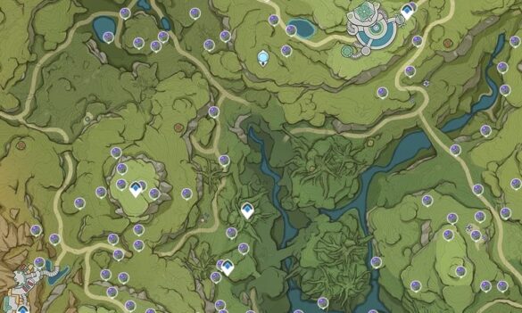 Where to Get Sumeru Rose in Genshin Impact - Prima Games