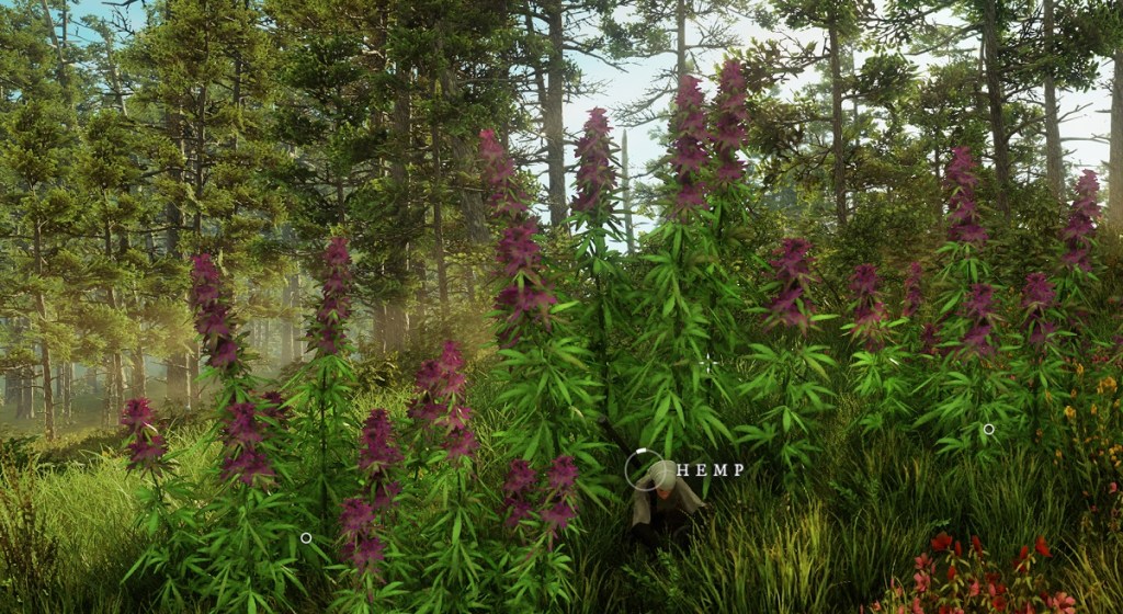 All New World Hemp Locations: Where to Find Hemp in New World - Prima Games