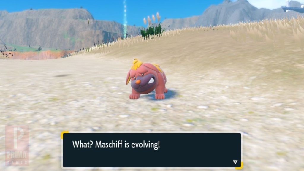 How to Evolve Maschiff into Mabosstiff in Pokemon Scarlet and Violet ...