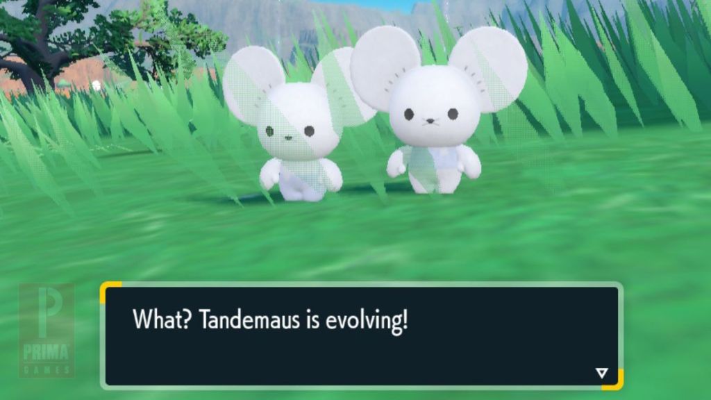 How to Evolve Tandemaus into Maushold in Pokemon Scarlet and Violet ...