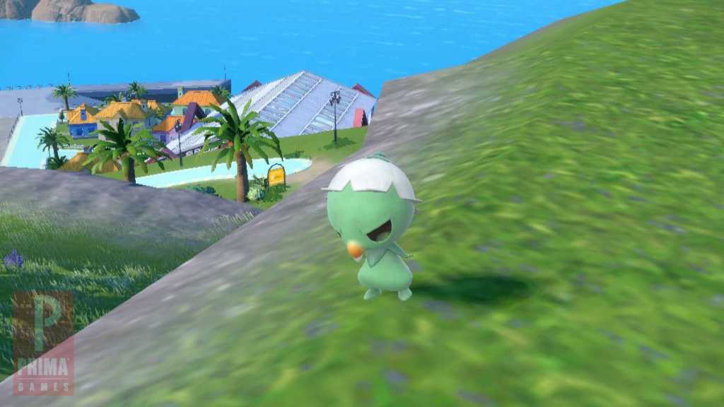 How to Get Capsakid in Pokemon Scarlet and Violet - Prima Games