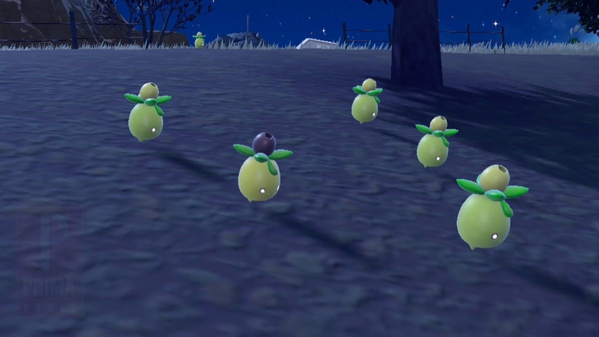 How to Get Smoliv in Pokemon Scarlet & Violet - Prima Games