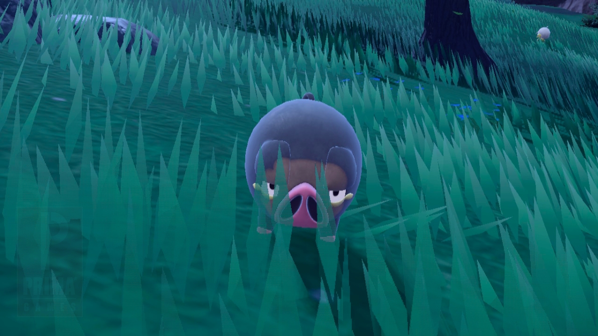 How to Get Lechonk in Pokemon Scarlet & Violet - Prima Games