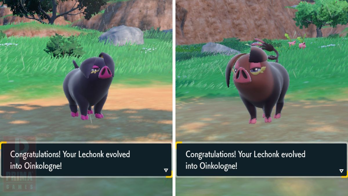 How to Evolve Lechonk into Oinkologne in Pokemon Scarlet and Violet ...