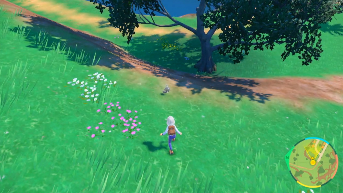 What Are the Wild Shiny Odds in Pokemon Scarlet and Violet? - Answered ...