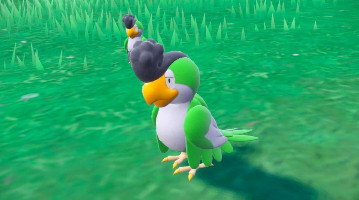 How to Get Squawkabilly in Pokemon Scarlet and Violet - Prima Games