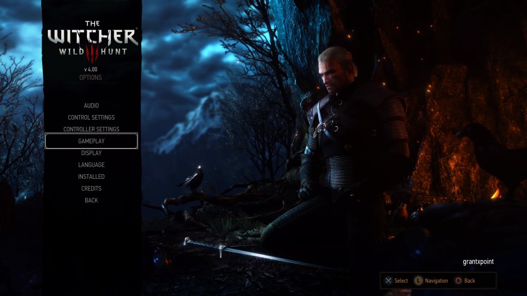 How to Get the Netflix Alternative Dandelion Appearance in Witcher 3 ...