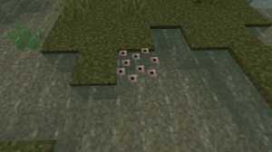 How to Breed Frogs in Minecraft - Prima Games