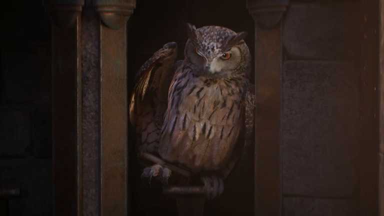 Hogwarts Legacy’s New Cinematic Trailer Highlights Dragons, Dark Forests and a Brave Owl - Prima ...
