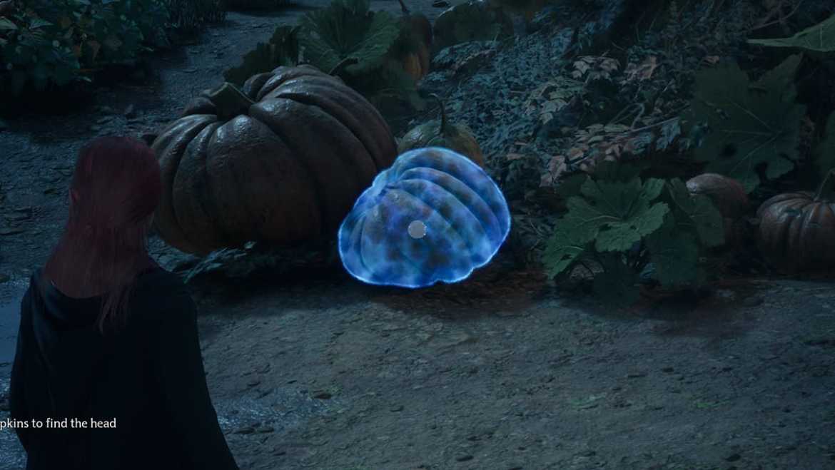 How to Find Jackdaw's Head in Hogwarts Legacy - Prima Games