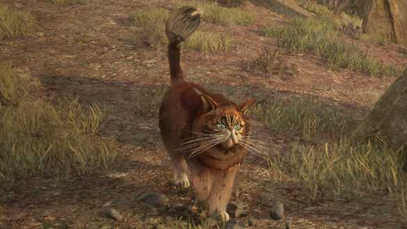 Hogwarts Legacy Cutest Magical Beasts, Ranked - Prima Games