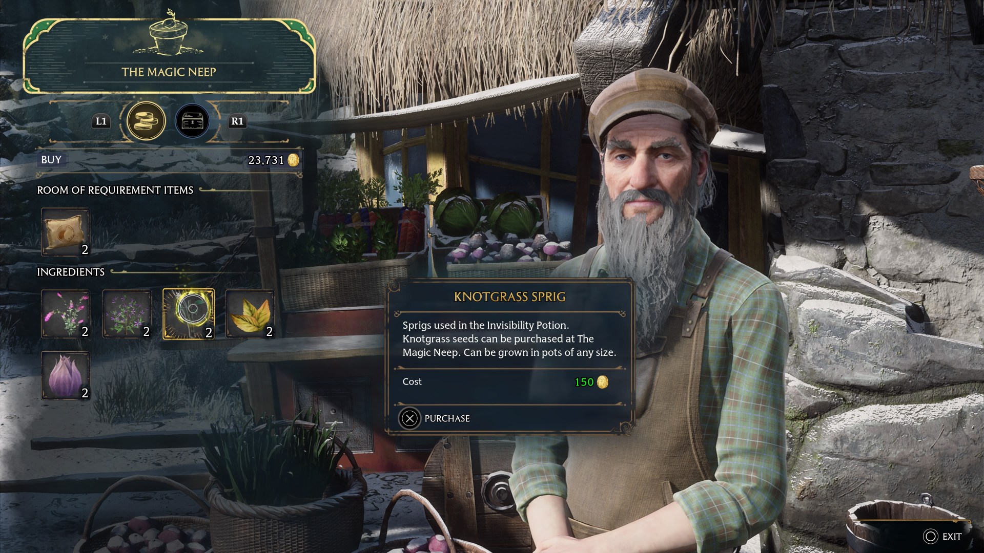 Where to Get Knotgrass Sprig in Hogwarts Legacy - Prima Games