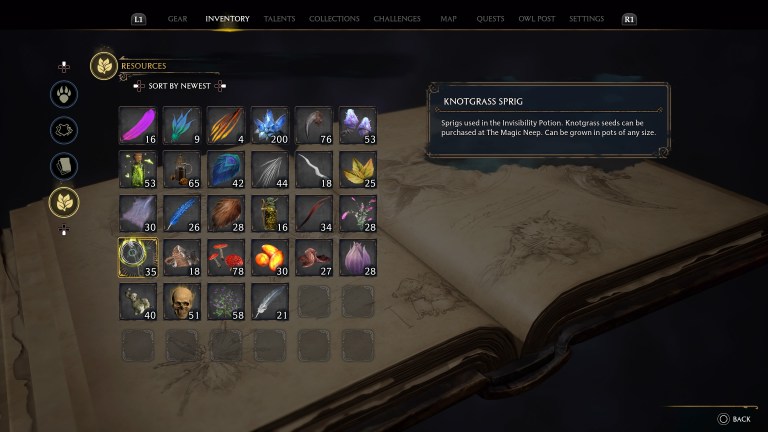 Where to Get Knotgrass Sprig in Hogwarts Legacy - Prima Games