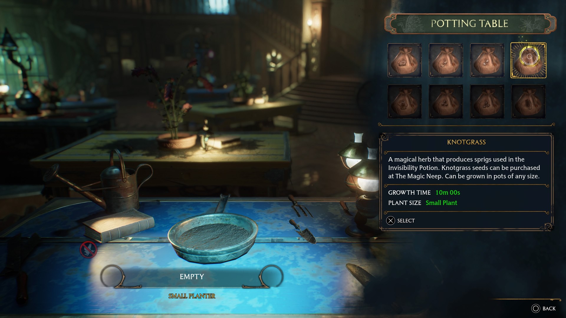 Where to Get Knotgrass Sprig in Hogwarts Legacy - Prima Games