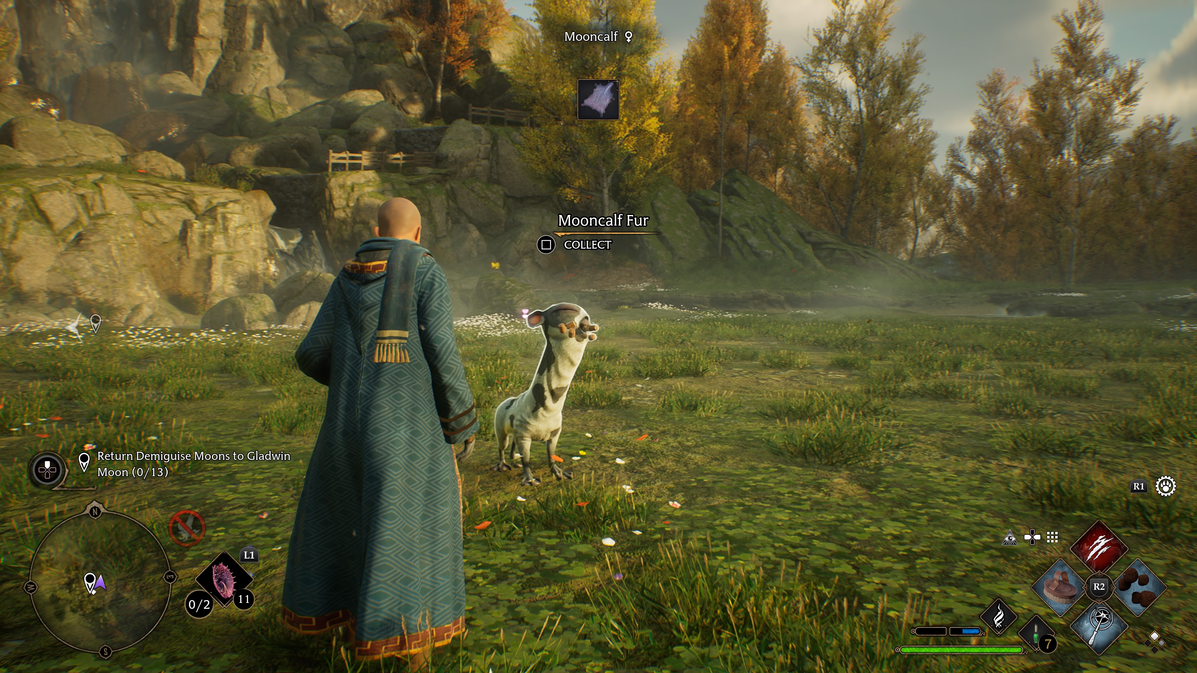 How to Get the Nab-Sack in Hogwarts Legacy - Prima Games