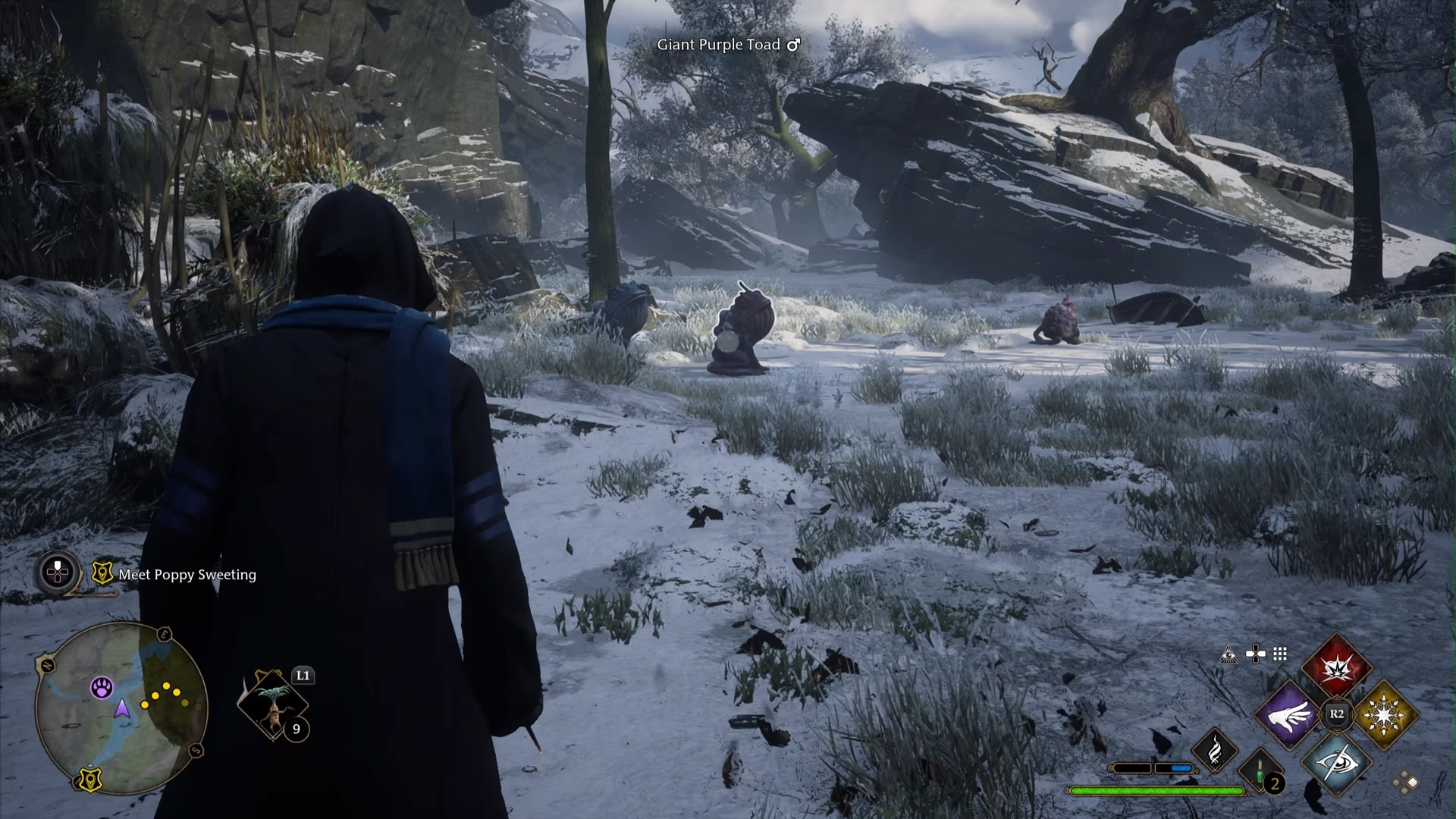 How to Obtain Toad Warts in Hogwarts Legacy - Prima Games