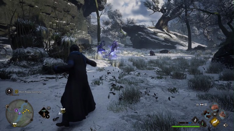 How to Obtain Toad Warts in Hogwarts Legacy - Prima Games