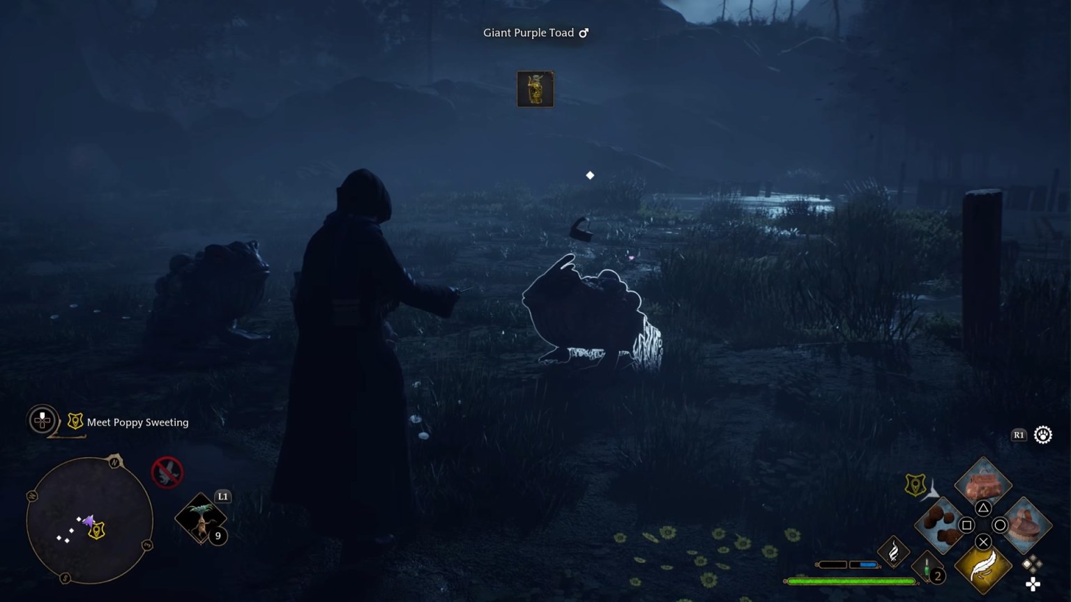 How to Obtain Toad Warts in Hogwarts Legacy - Prima Games