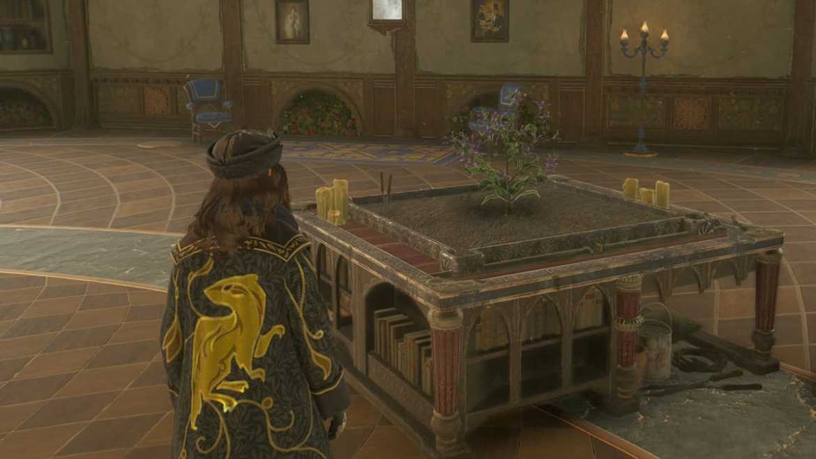 How to Get Fluxweed Seeds in Hogwarts Legacy - Prima Games