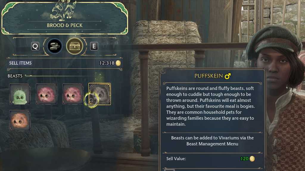 How to Make Easy Money in Hogwarts Legacy - Prima Games