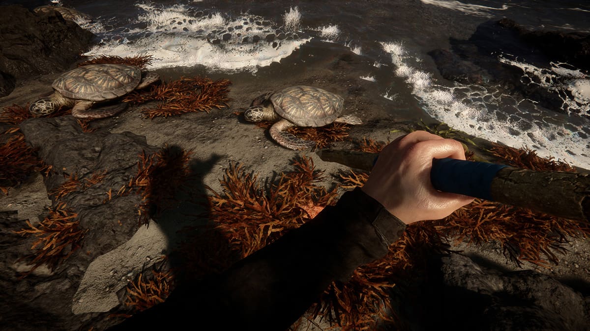 How to Get Turtle Shells in Sons of the Forest - Prima Games