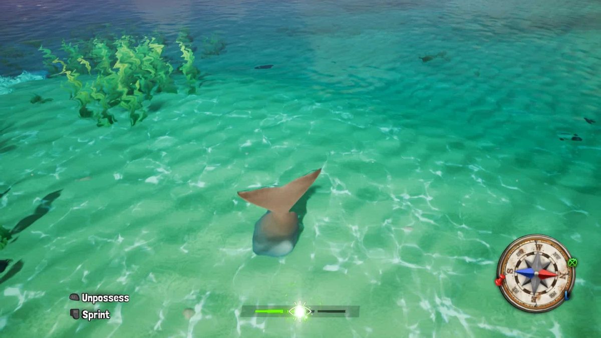 How to Soul-Jump in Tchia - Answered - Prima Games