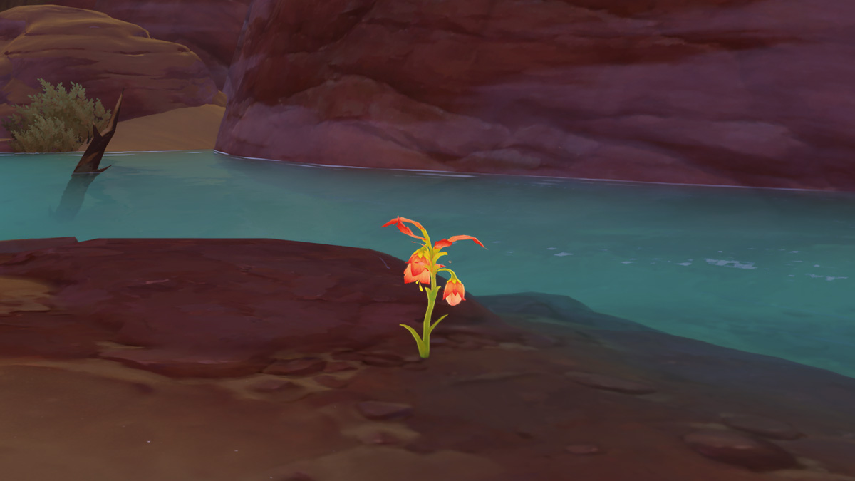 Where to Find Mourning Flowers in Genshin Impact - Prima Games