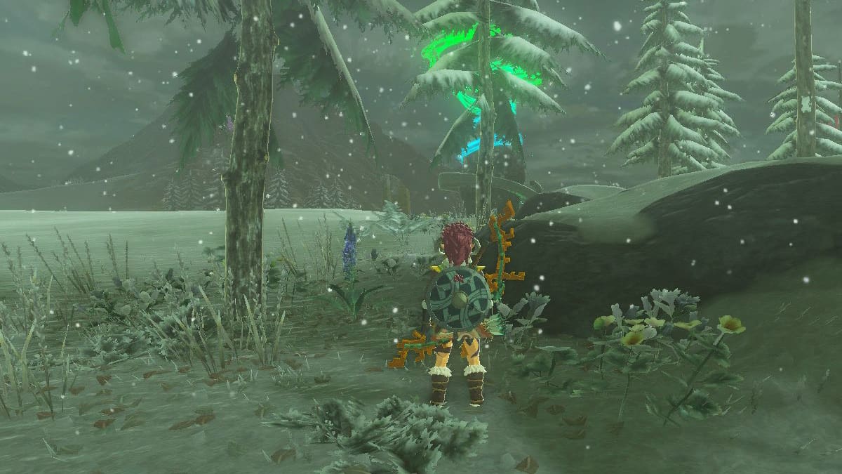 Where to Find Cool Safflina in Tears of the Kingdom (TOTK) - Prima Games