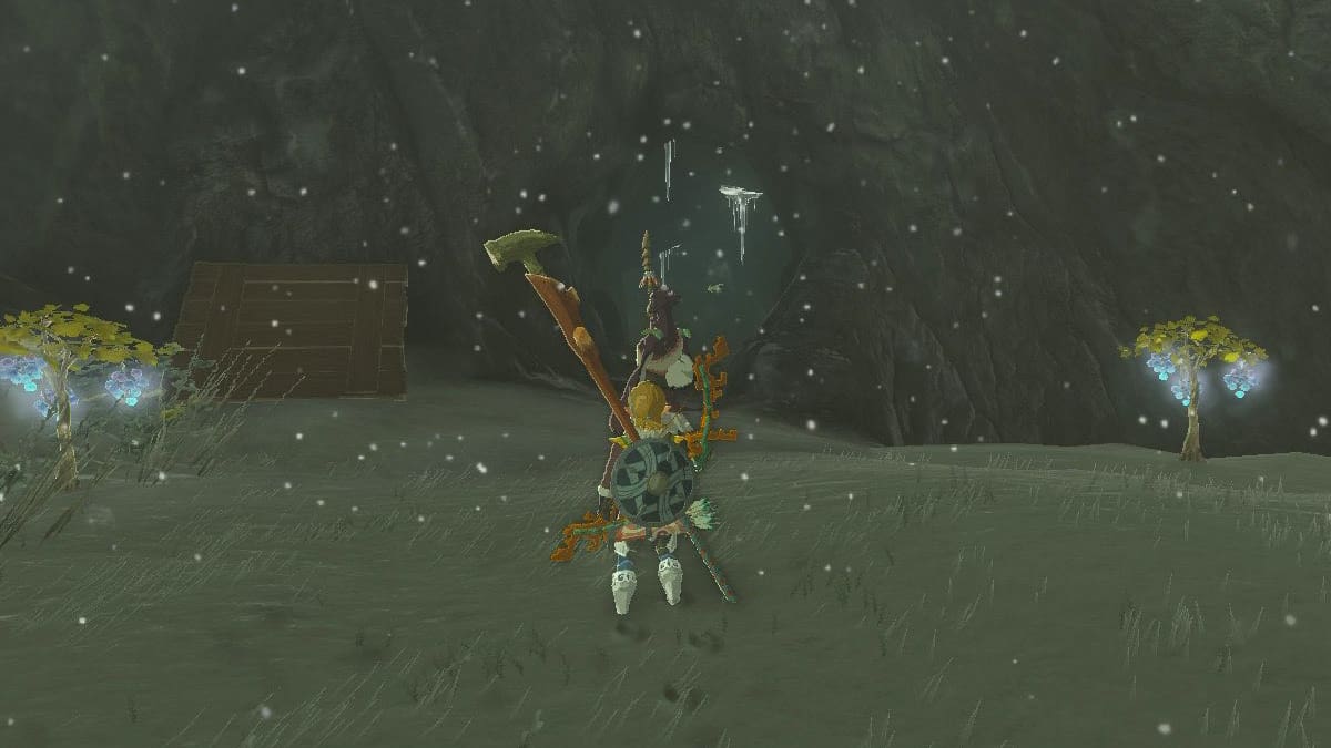 Where to Find Tulin in Tears of the Kingdom (TOTK) - Prima Games