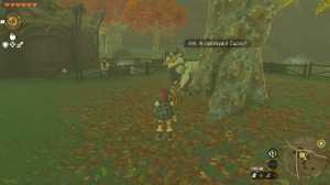 Where is South Akkala Stable in Tears of the Kingdom (TOTK)? - Answered ...