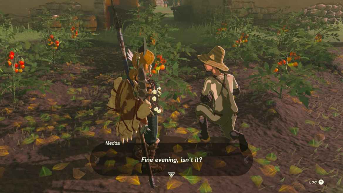Tears of the Kingdom: Who to Give Hylian Shrooms To In Hateno Village ...