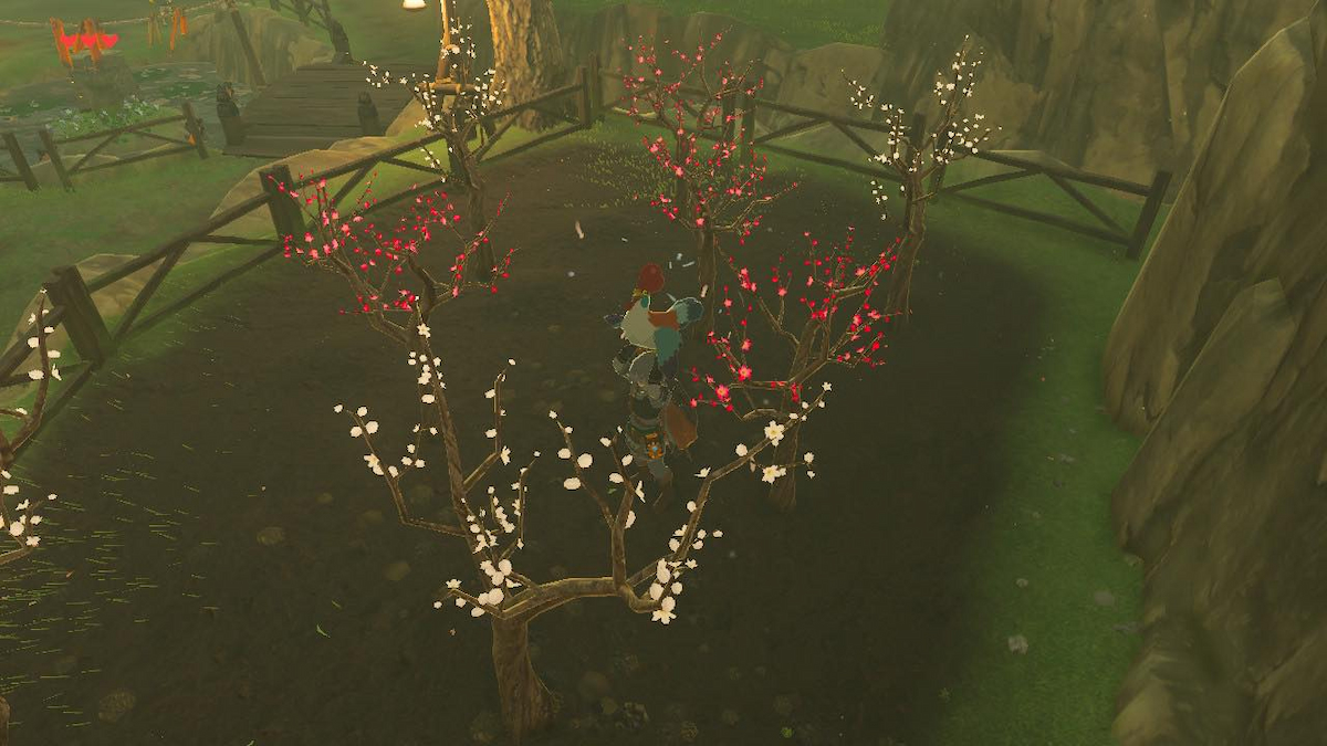 Poppy Plays: My 6-Year-Old's First Zelda Experience Has Been Wild ...