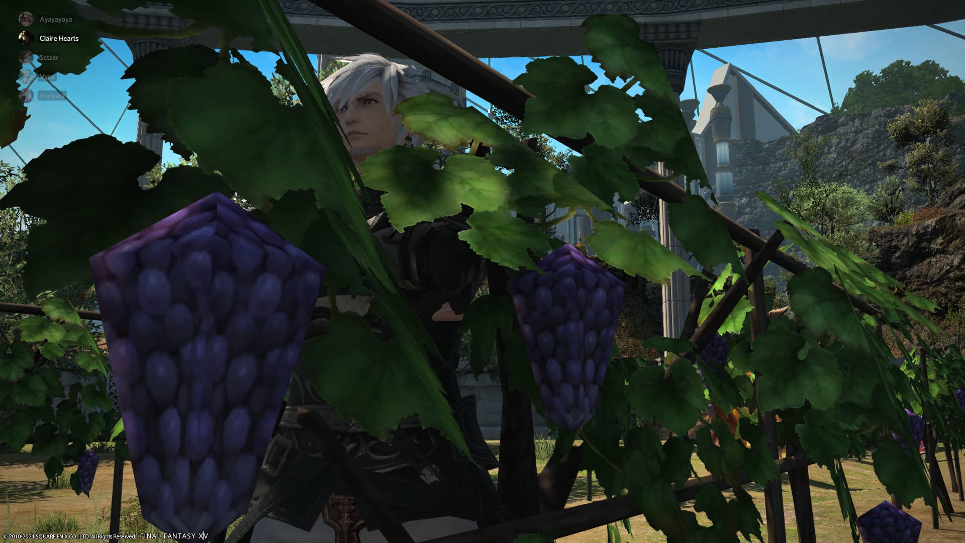 A Deep Investigation Into The Grapes of FFXVI - Prima Games