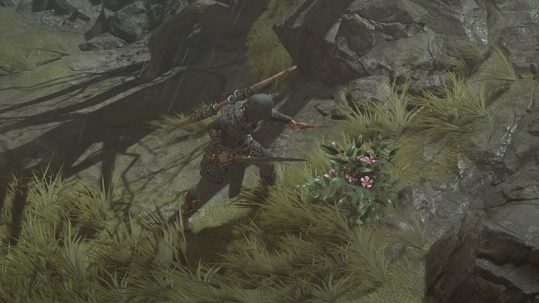 How to Get Gallowvine in Diablo 4 - Prima Games