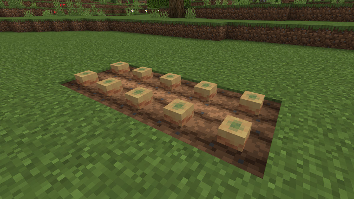 How to Get Pitcher Pods in Minecraft - Prima Games