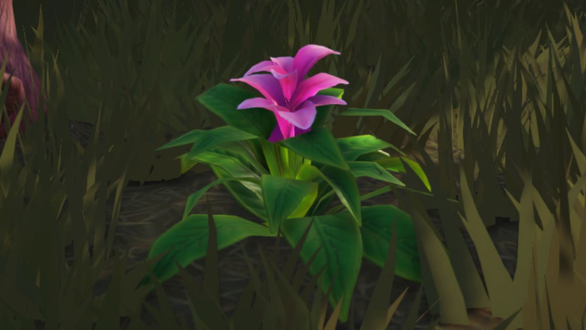Where to Find Pink Bromeliad in Disney Dreamlight Valley - Prima Games