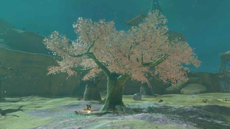 All Cherry Blossom Tree Locations in Tears of the Kingdom (TotK ...