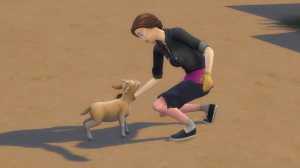How to Get Goats and Sheep in The Sims 4: Horse Ranch - Prima Games