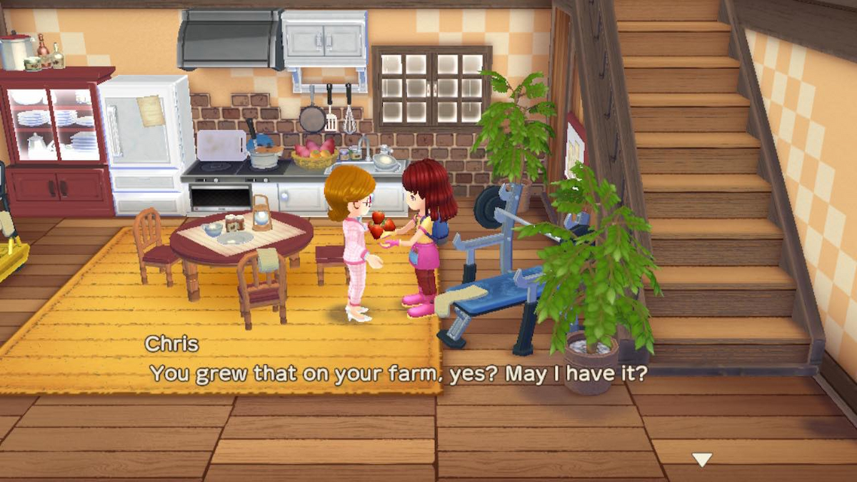 The Ultimate Villager Gift Guide in Story of Seasons: A Wonderful Life - Prima Games