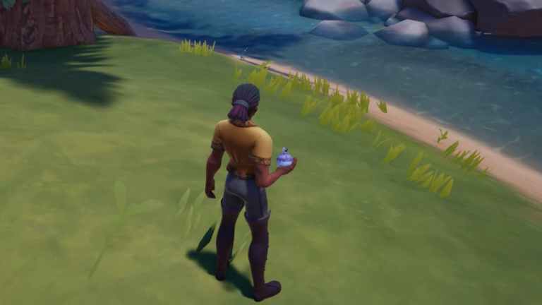 Palia: How to Catch Inky Dragonfly - Prima Games