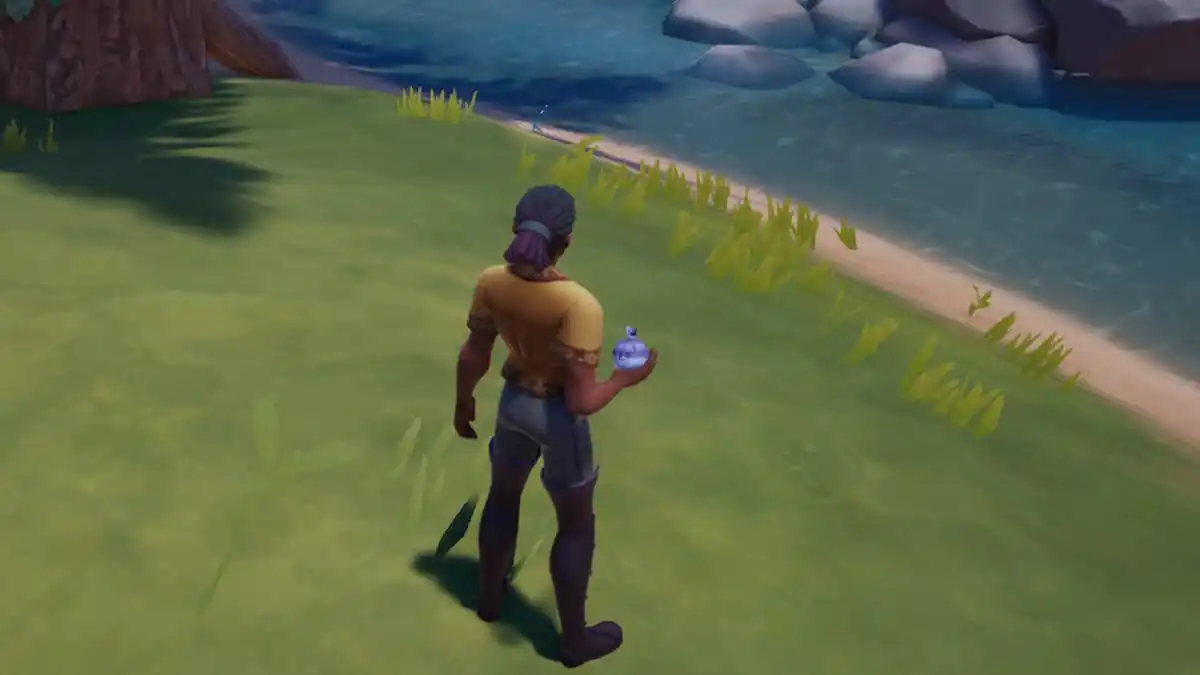 Palia: How to Catch Inky Dragonfly - Prima Games