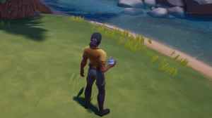 Palia: How to Catch Inky Dragonfly - Prima Games