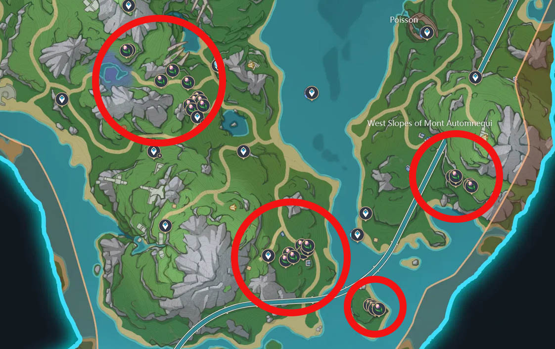 Where to Find Rainbow Roses in Genshin Impact - Prima Games