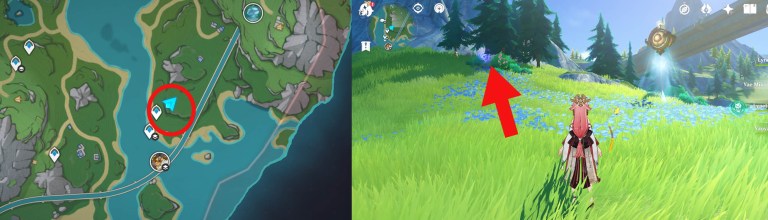 All Mysterious Cores Locations in Genshin Impact - Prima Games