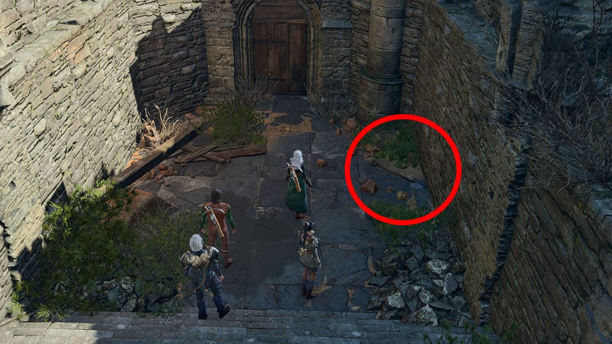How to Get a Shovel in Baldur's Gate 3 (BG3) - Prima Games