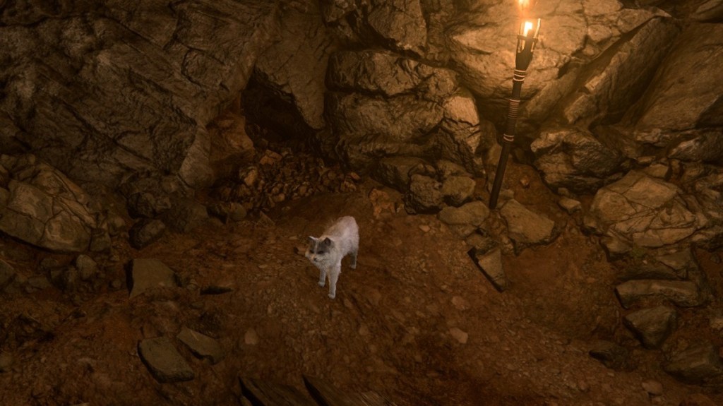 Baldur's Gate 3: How to Get into Rocky Crevices in BG3 - Prima Games