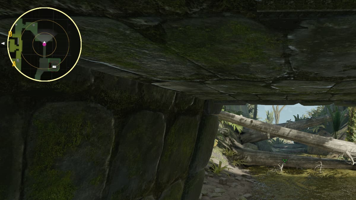 What is the Circle Around You on the CS2 Map Radar? - Answered - Prima ...