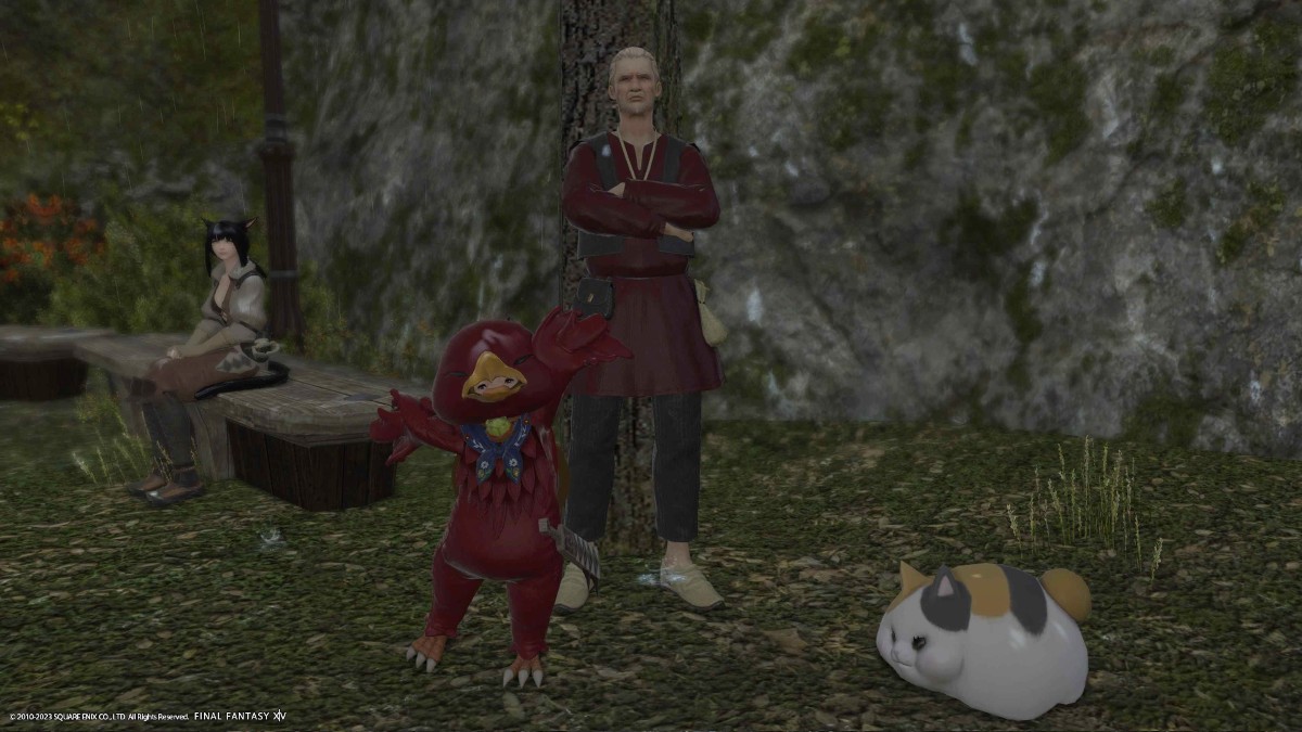 How to Change Chocobo Barding in Final Fantasy XIV - Prima Games